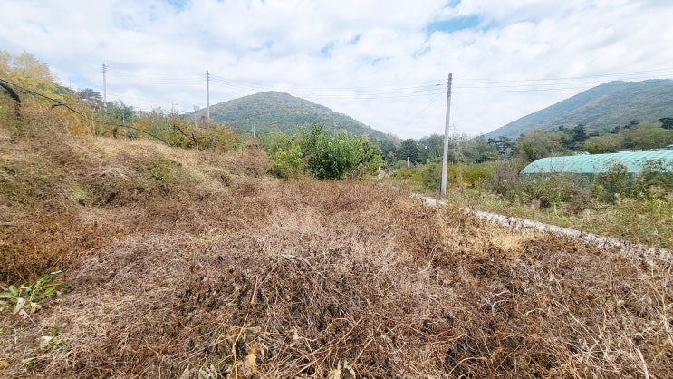 영천소액땅 소규모작은토지매매 농막 놓고 주말쉼터하기 좋은땅 임고ic 약1km이내 영천댐하류 영천땅 영천토지 영천부동산 : 네이버 블로그