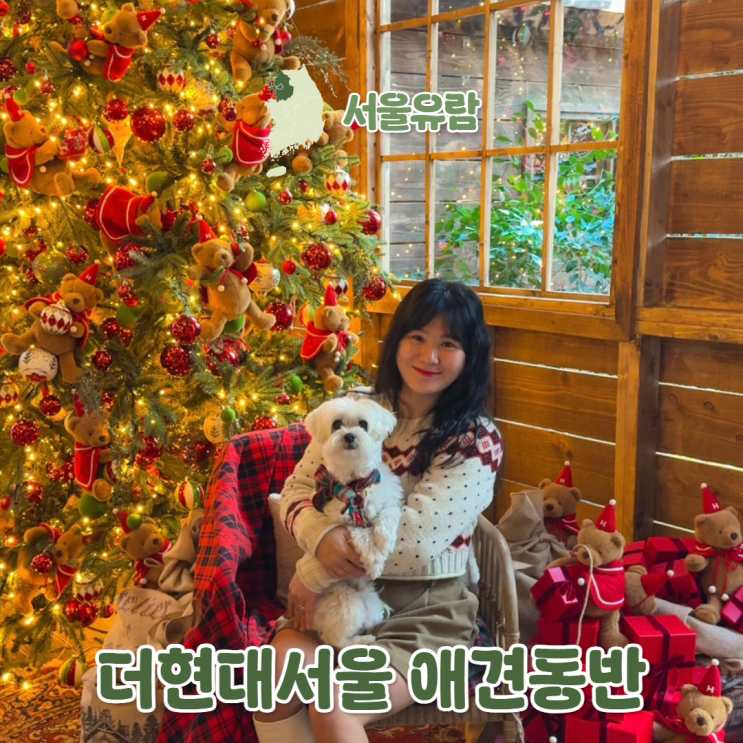 더현대서울 크리스마스 2025, 애견동반 정보 : 네이버 블로그