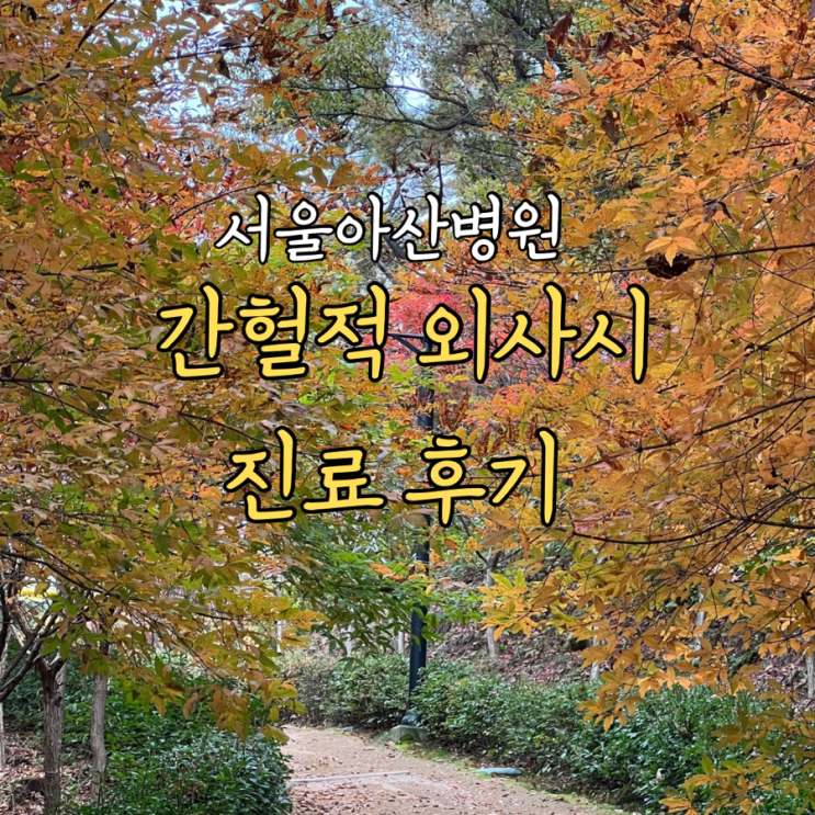 31개월 아이 간헐적 외사시 서울 아산병원 두번째 후기 (수술날짜 예약함) : 네이버 블로그