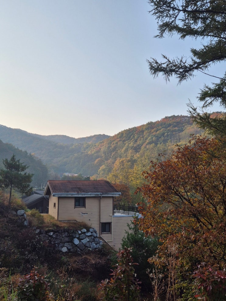 충북 알프스 자연휴양림 : 네이버 블로그