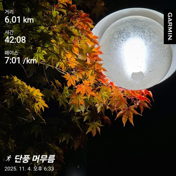 251104(화) 6km : 단풍 머무름 : 네이버 블로그