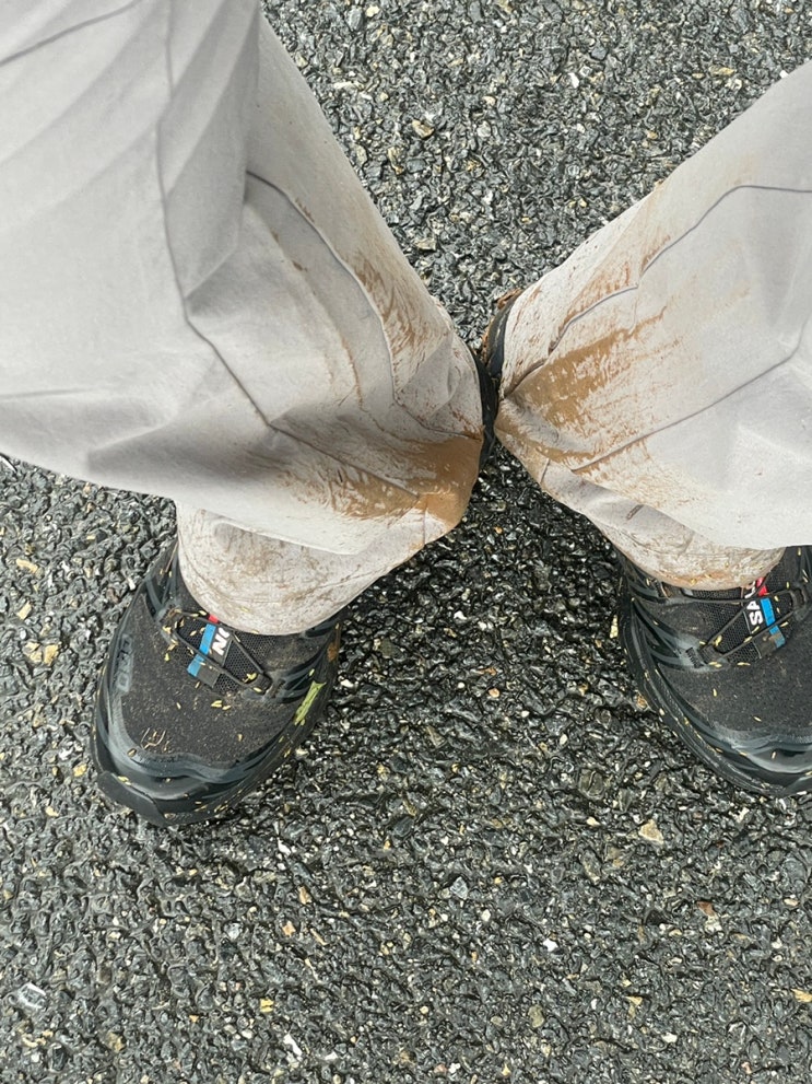 살로몬 Race Flag Fleece JKT W 플리스자켓 후리스, Prime Softshell Pants 등산바지 다산 현대 ...