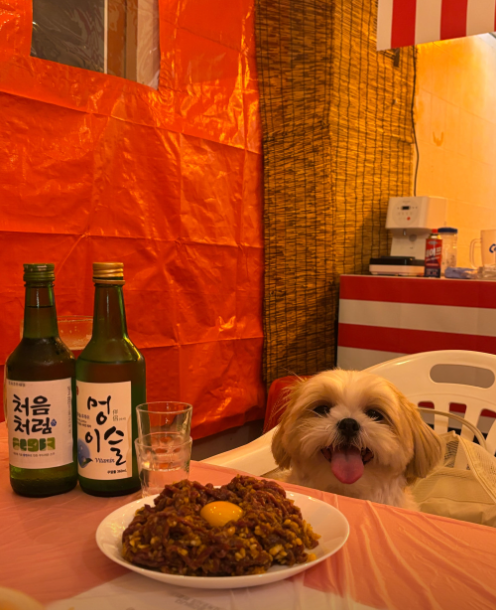 묵호애견동반펜션_ 조식까지 완벽했던 동해 여행기 : 네이버 블로그