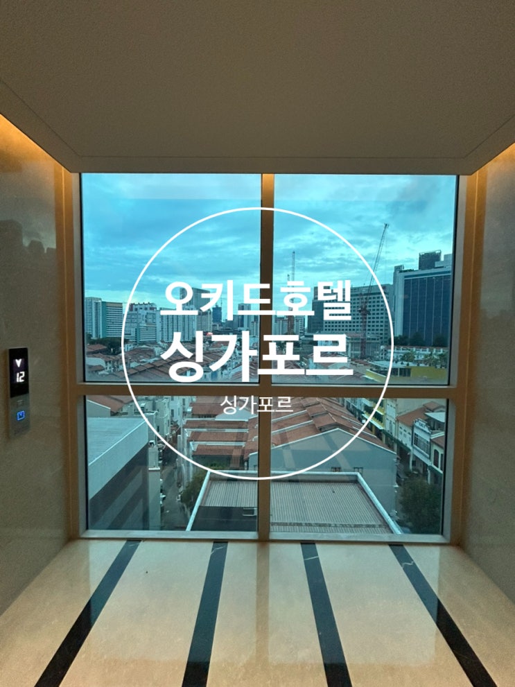 Singapore 싱가포르 동남아 크루즈여행 오키드 호텔 Orchid Hotel : 네이버 블로그