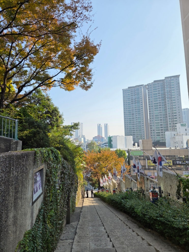 역사와 맛이 공존하는 대구 산책 (근대골목투어 청라언덕 + 다금예전칼국수 수육, 찹쌀수제비 후기) : 네이버 블로그