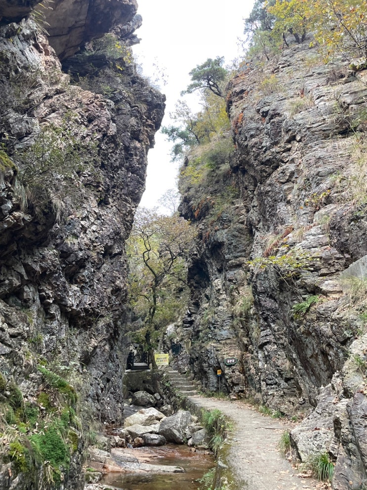 [명산100 #030] 춘천 삼악산 최단코스 (25.10.26) : 네이버 블로그