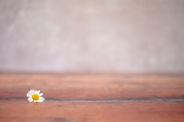 순연 뜻 무엇인가요? 순연하다 의미와 하는 이유, 지연과 차이점은 : 네이버 블로그