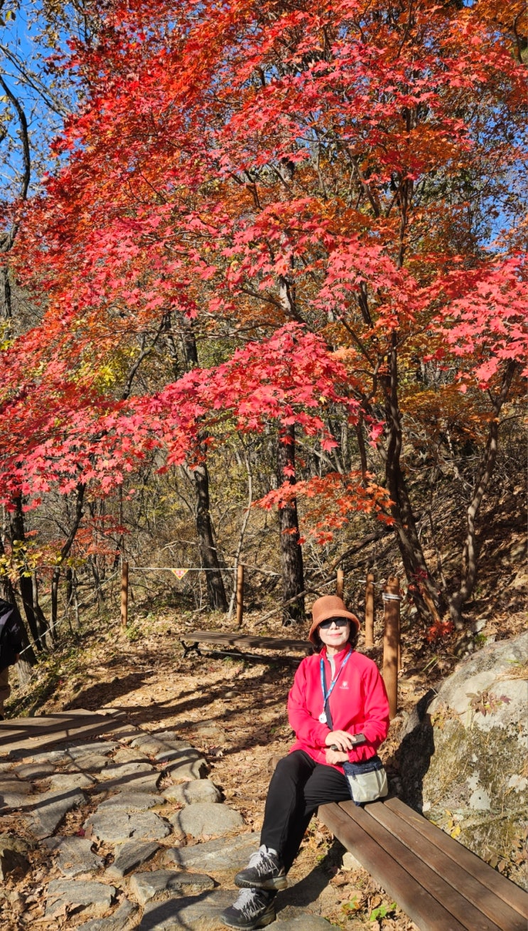 가을에 가 볼만 한 곳 / 양구여행 / 단풍 절정 두타연계곡 / 두타연 폭포 / 파란하늘 흰구름 / 사진 : 네이버 블로그