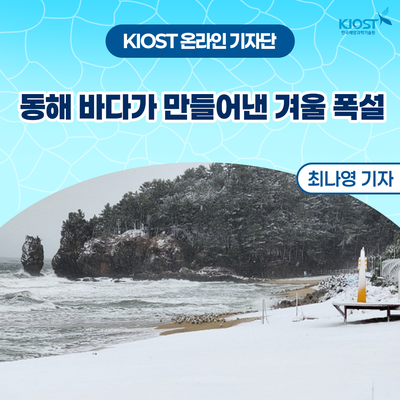동해 바다가 만들어낸 겨울 폭설 : 네이버 블로그