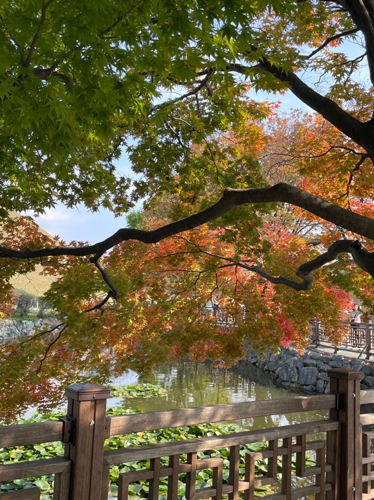 인생은 유한하다_ 영천 3주살이,임고초등학교, 경주 산책 : 네이버 블로그