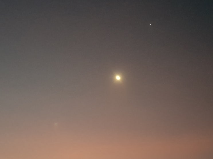 벌크선 늘리려는 HMM 폴라리스쉬핑 다시 눈독 : 네이버 블로그