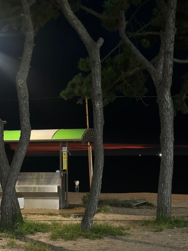 그러를그러세요 : 네이버 블로그