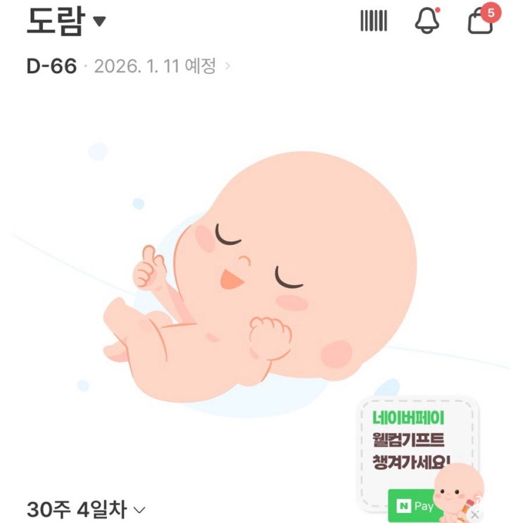 임신 30주차:: 임산부 눕눕생활 자세, 출산가방 준비물, 자궁경부길이 1cm로 만삭까지 누워서 버텨보자 : 네이버 블로그