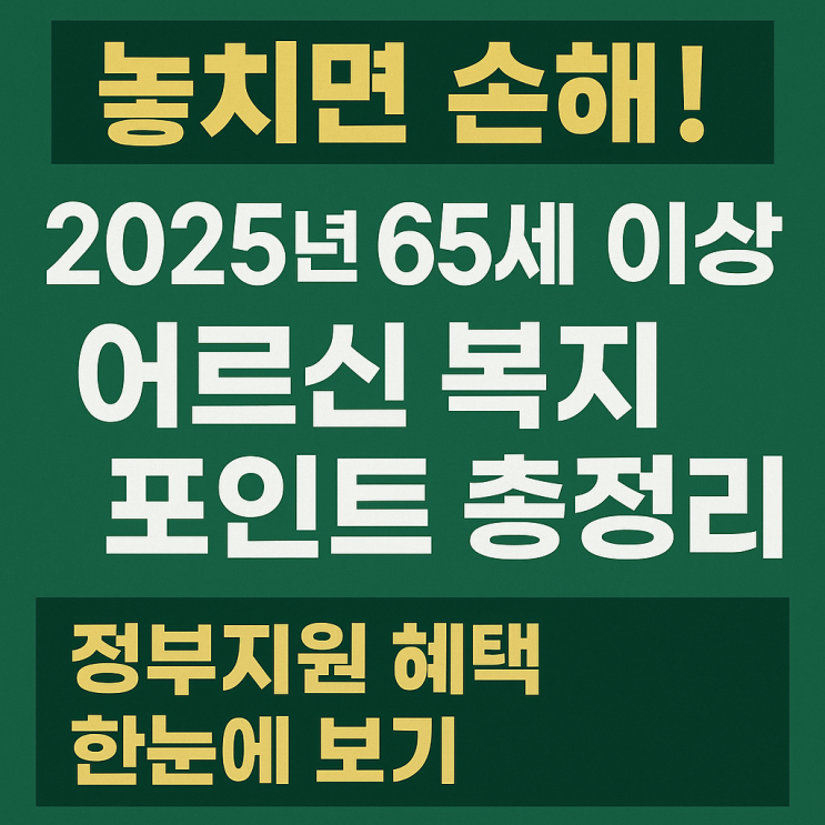 놓치면 손해! 2025년 65세 이상 어르신 복지 포인트 총정리 – 정부지원 혜택 한눈에 보기 : 네이버 블로그