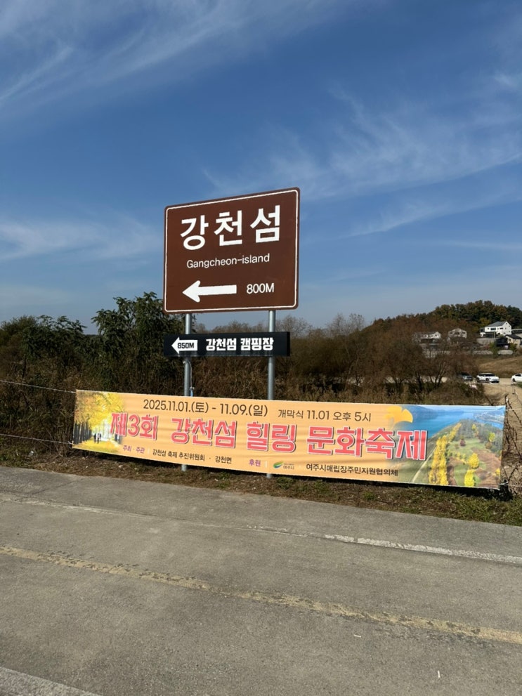 아이와 야외활동 은행나무 성지 여주강천섬 11.6일 단풍현황 : 네이버 블로그