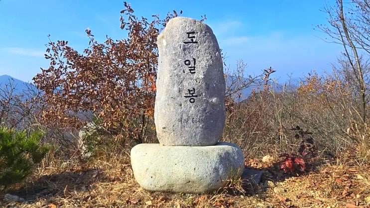 용문산 도일봉.싸리봉 산행, 마른 능이버섯 채취 산행 후기 : 네이버 블로그