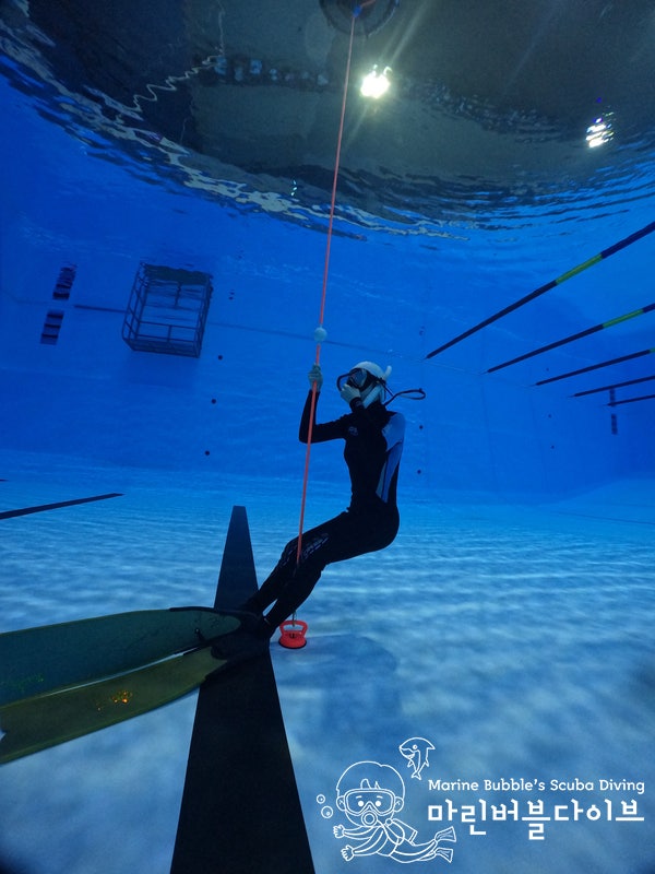 PADI 창원프리다이빙교육 부산프리다이빙강습 마린버블다이브 Lv.1 Lv.2 연속교육 프리다이빙 Start! : 네이버 블로그