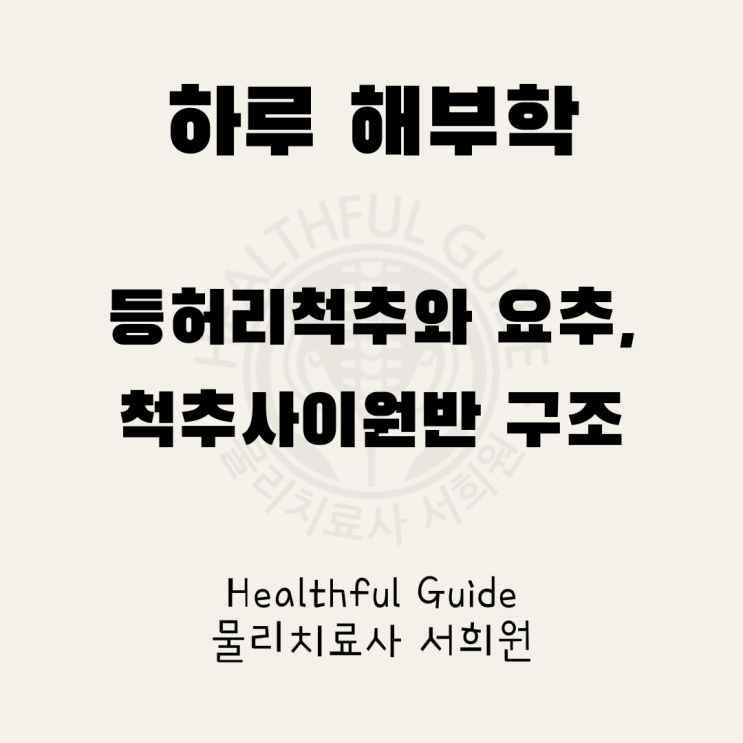[하루 해부학] TL junction과 요추 그리고 척추사이원반의 구조 : 네이버 블로그