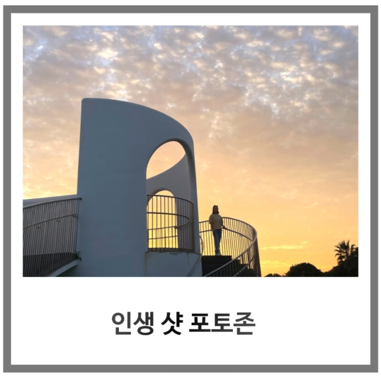 제주가을 서귀포가볼만한곳 카멜리아힐 : 네이버 블로그