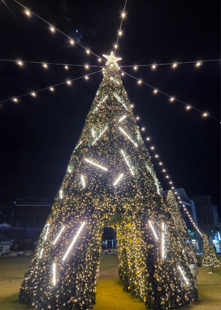 [ 진해 중원 로타리 크리스마스 트리 ] : 대형 트리, 성탄 트리, 창원 아이랑 대형 트리 가볼만 한 곳 : 네이버 블로그