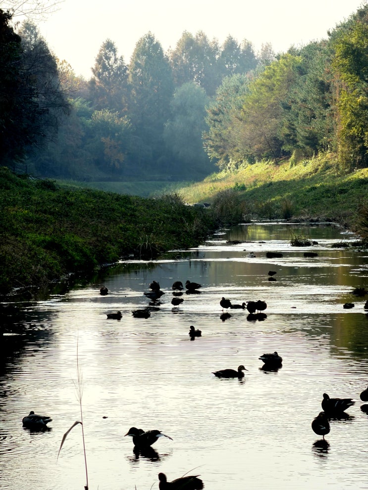 251107 : 네이버 블로그