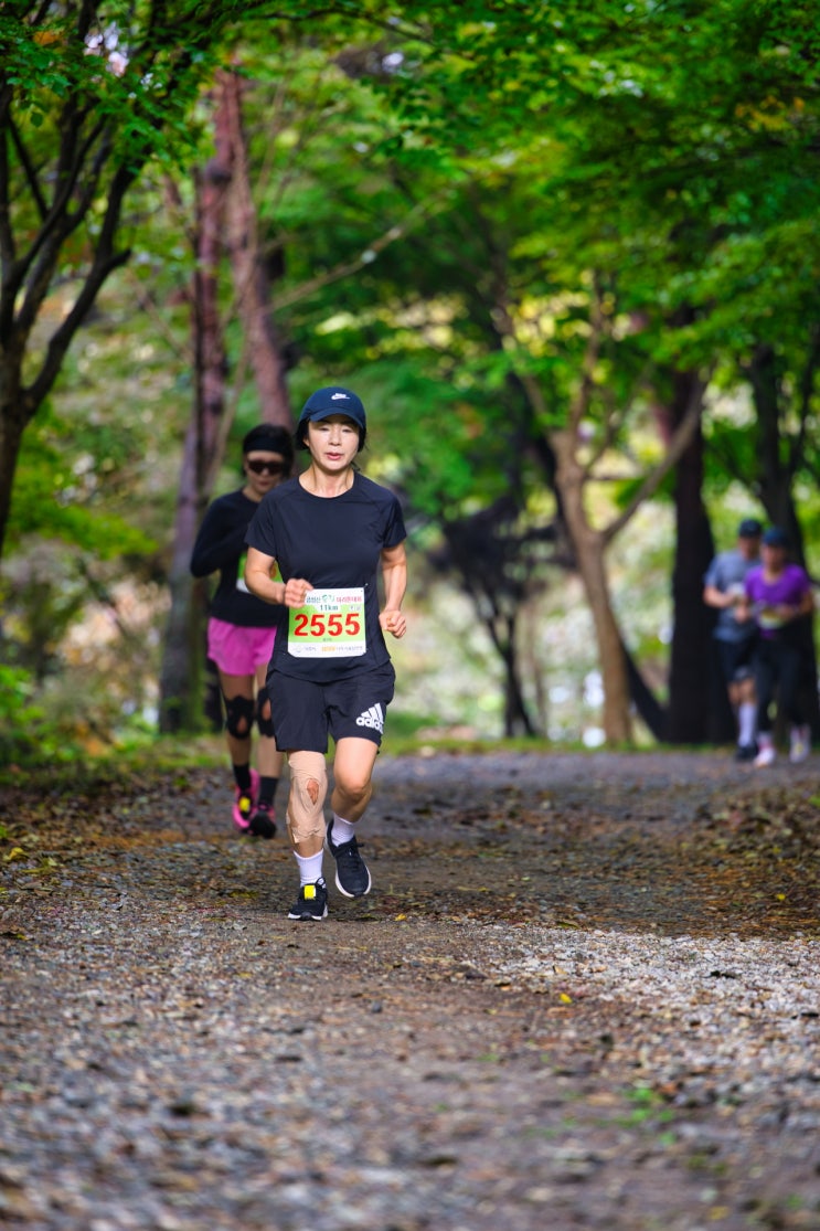 23회 나주 금성산 숲길 마라톤대회 11.. : 네이버 블로그