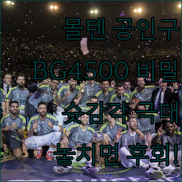FIBA 공인구 몰텐 BG4050 BG4500 슛 감각을 극대화하는 농구공의 정체를 밝히다 : 네이버 블로그