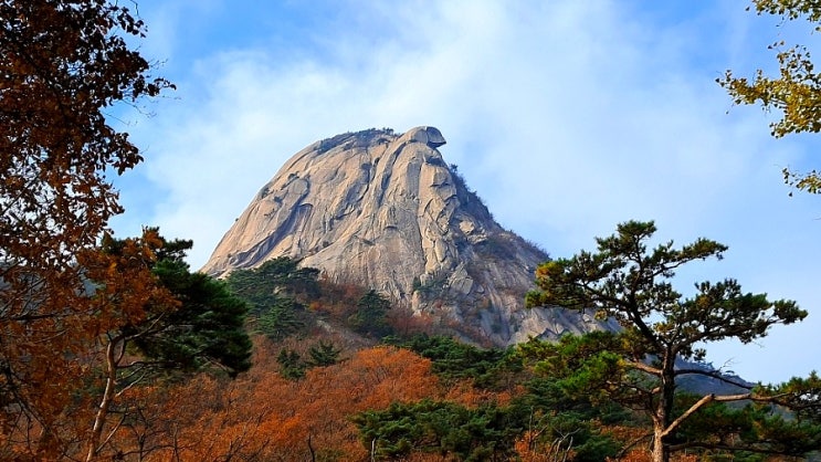 어떤 화두를 붙잡을 것인가 : 네이버 블로그