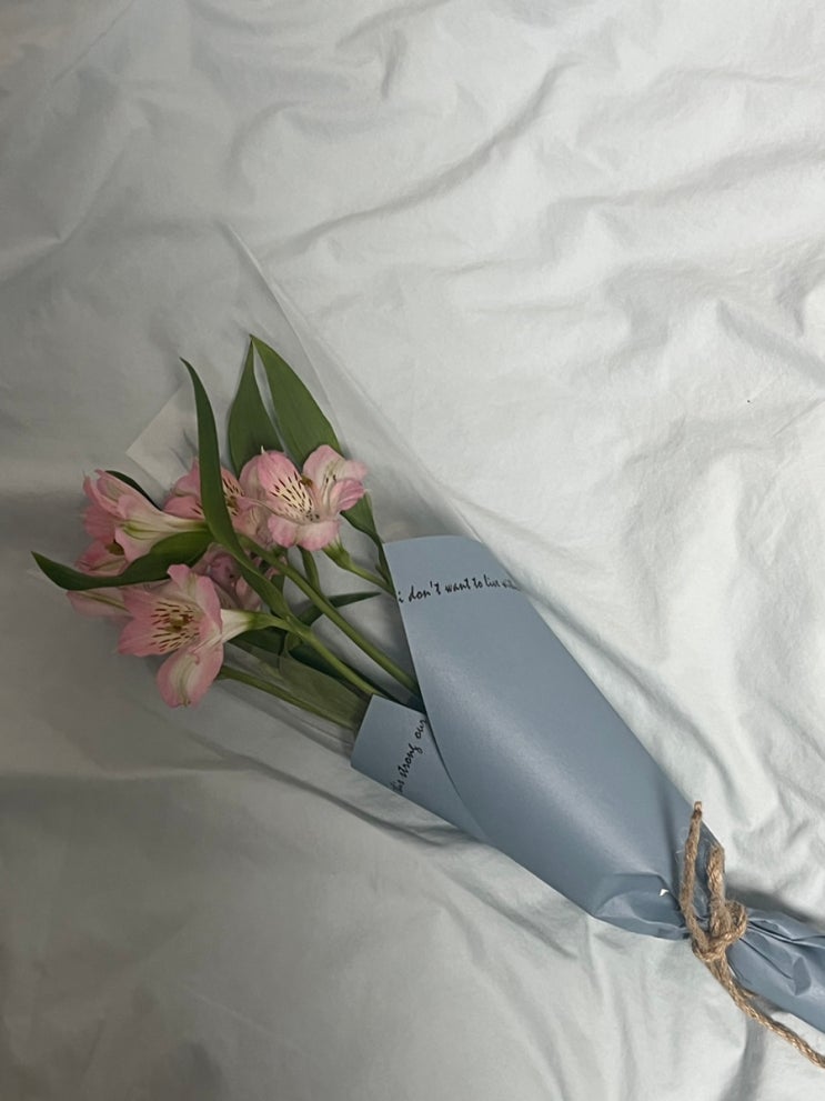 11.🎱 : 네이버 블로그