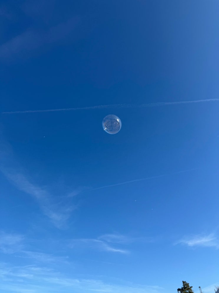 스페인:: 마요르카 Majorca, Mallorca/ #03_ 팔마, 마요르카 대성당, 까르푸, 몬투이리 : 네이버 블로그