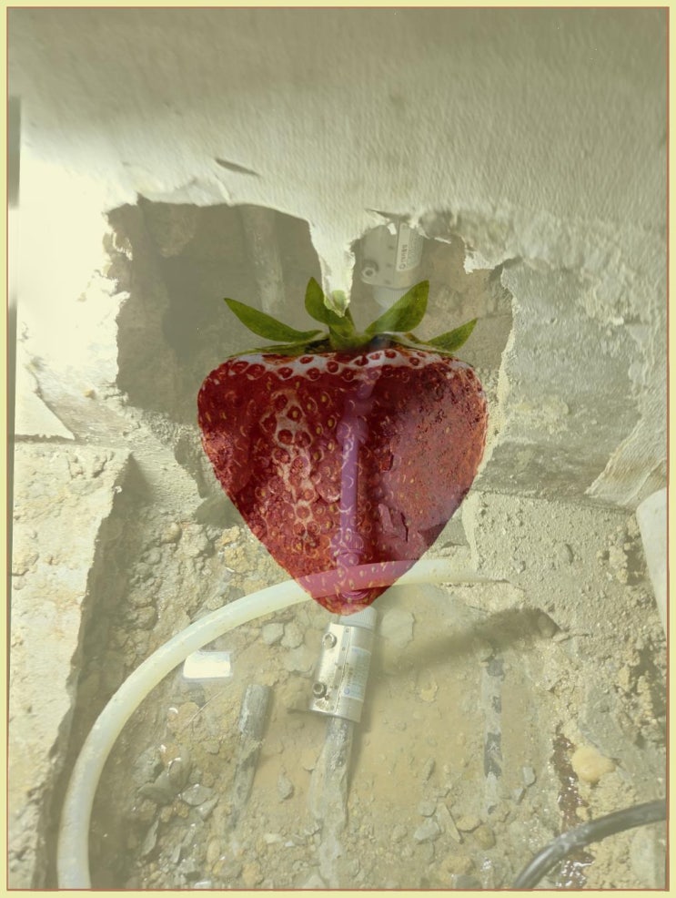 남양주 상수도 누수 신고 방법과 팁 : 네이버 블로그