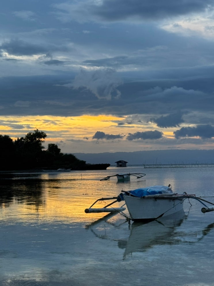 8월 28일 보홀(나팔링셀프투어/임페리얼드래곤/돌조비치스노클링) : 네이버 블로그