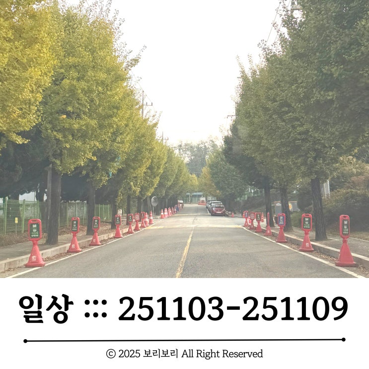 일상 ::: 251103-251109 : 네이버 블로그