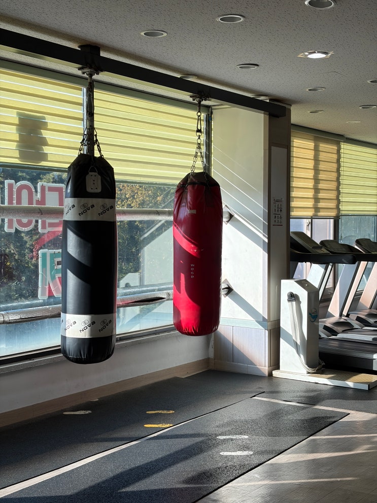 감사노트 (11-10~11-16) : 네이버 블로그