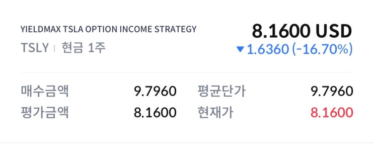 "TSLY etf 배당내역" 총정리 : 네이버 블로그