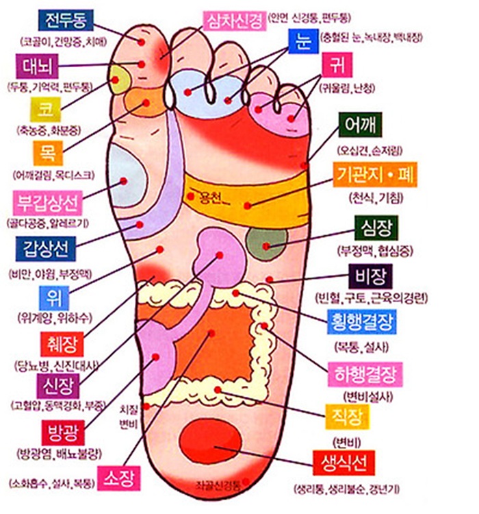 엄지 발가락의 소중함 : 네이버 블로그