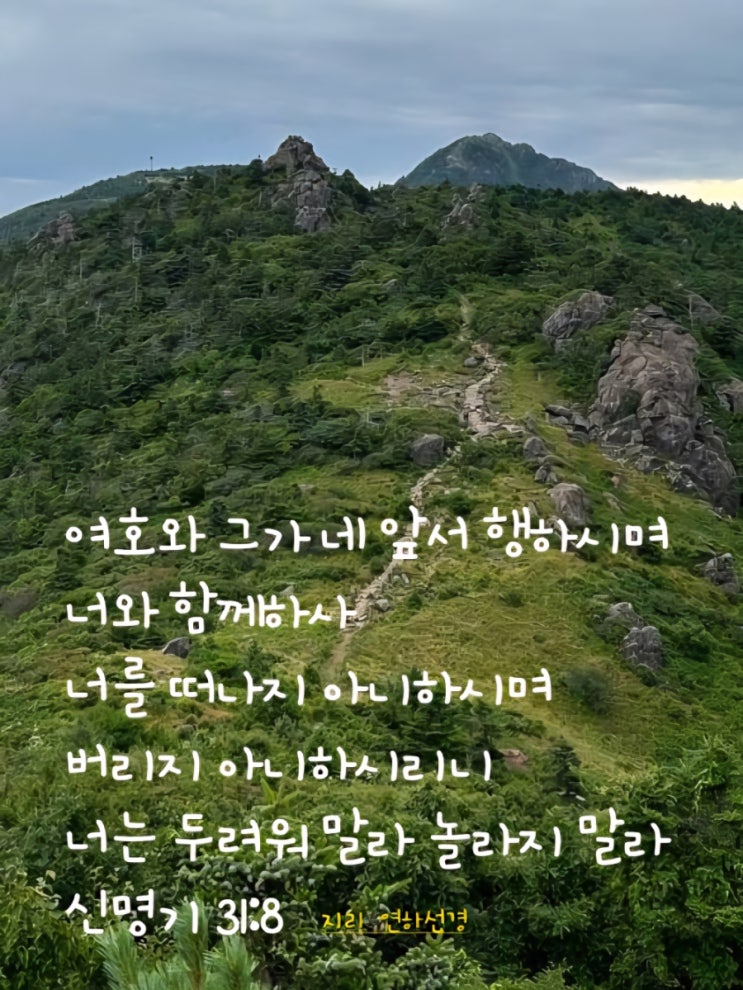 [말씀묵상] 천국은 마치~ 이른 아침에 나간 집주인과 같으니 마20:1 : 네이버 블로그