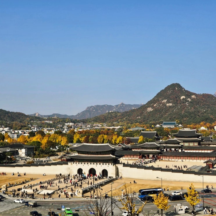 [서울 가을 단풍 명소] 대한민국역사박물관 옥상정원, 국립고궁박물관 은행나무, 효자로 가을단풍길, 청와대로 은행나무길 : 네이버 블로그