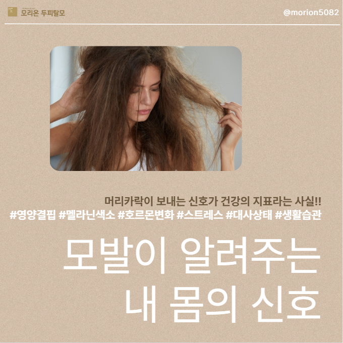 모발이 알려주는 내 몸의 신호 : 네이버 블로그