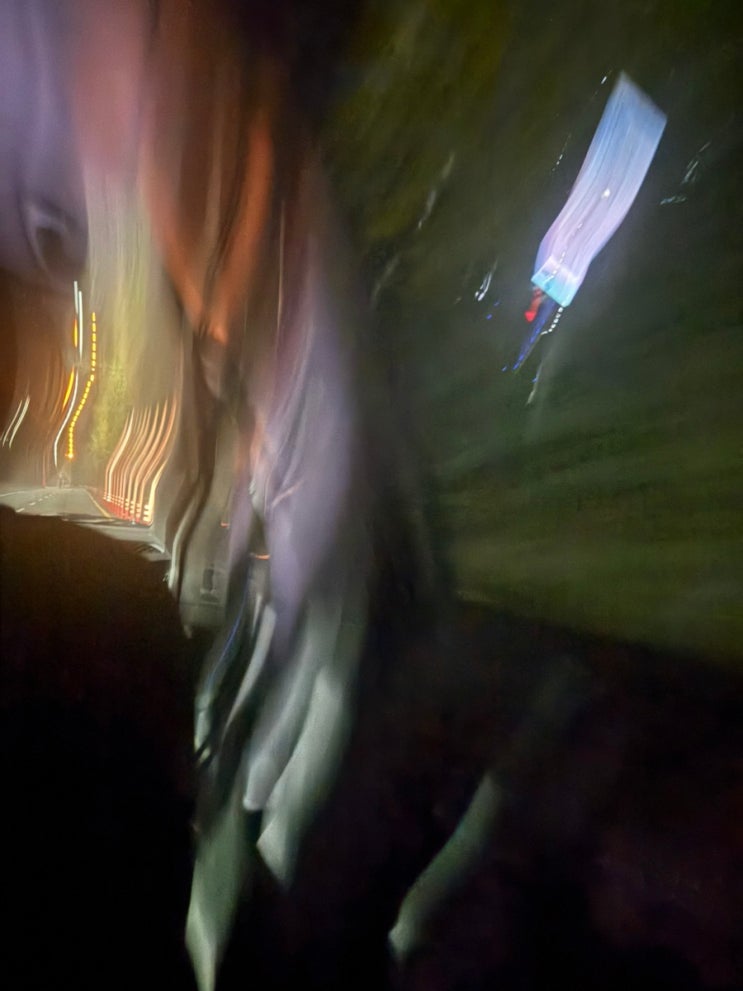 불행이 누군가에게 안온한 날 : 네이버 블로그