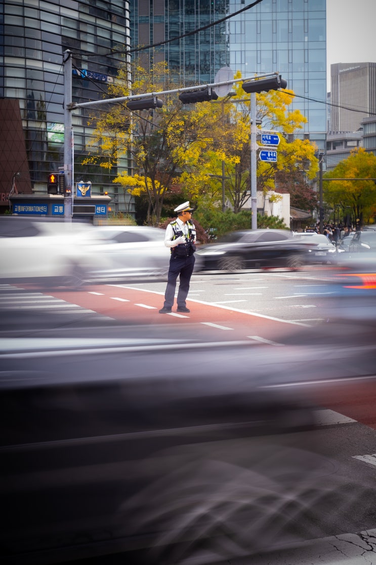 카메라와 서울 나들이 : 네이버 블로그