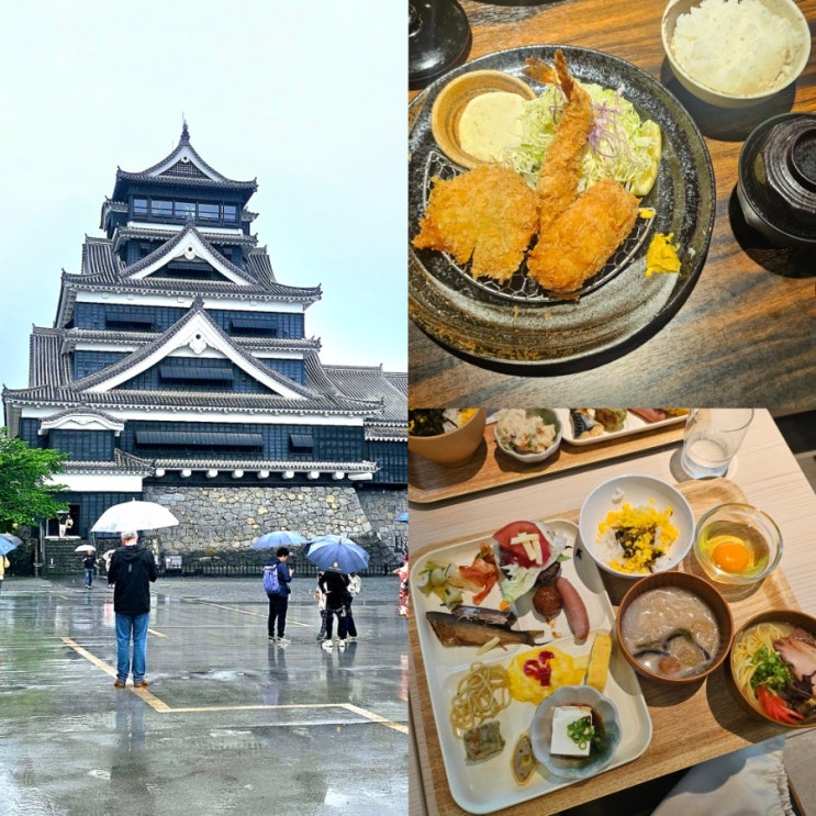 4일차[규슈여행]구마모토성 티켓부스 입장료,기념품+와쿠와쿠자(뮤지엄)&조사이엔상점가 운영시간/먹거리/카츠레츠테이 식당/먹은간식 ...