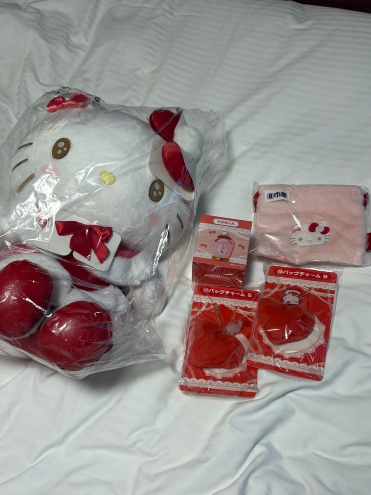 11/6-7 후쿠오카 1박2일 여행기 2편 : 네이버 블로그