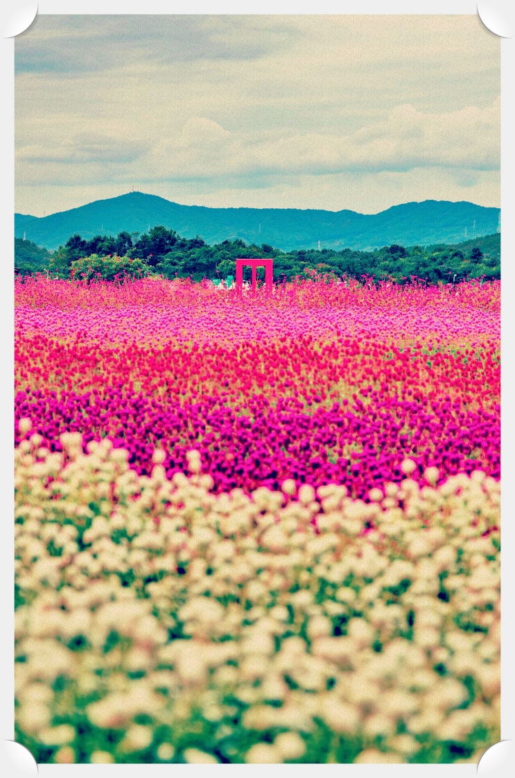 센토사섬 워터파크에서 즐기는 가족 나들이와 신나는 물놀이 : 네이버 블로그