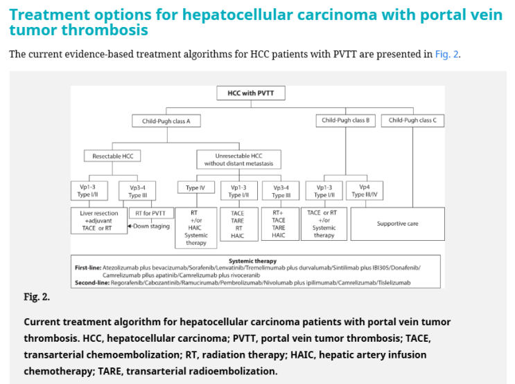 CDDP(cisplatin)병용요법, PVTT(portal vein tumor thrombus_문맥혈관 종양혈전) : 네이버 블로그