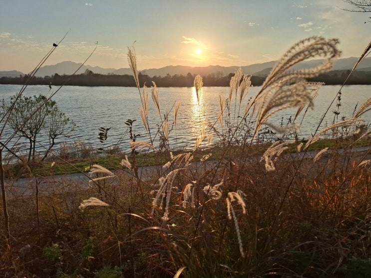 2025.11.11 의암호수 둘레길 트래: 자연과 함께하는 힐링의 시간 : 네이버 블로그