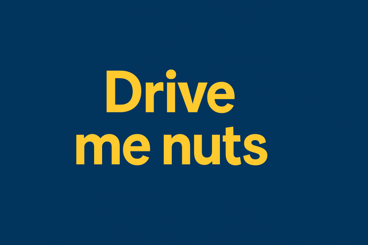 Drive me nuts 뜻 - "나 미치겠네!" 영어 표현과 발음 꿀팁. : 네이버 블로그