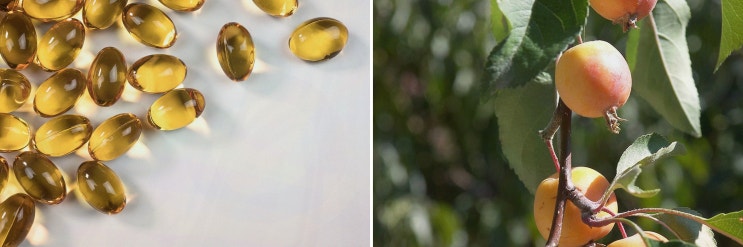 리쥬란을 통해 건강한 피부를 회복하는 법 : 네이버 블로그