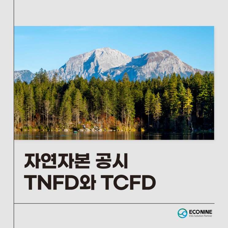 자연자본 공시 TNFD와 TCFD : 네이버 블로그