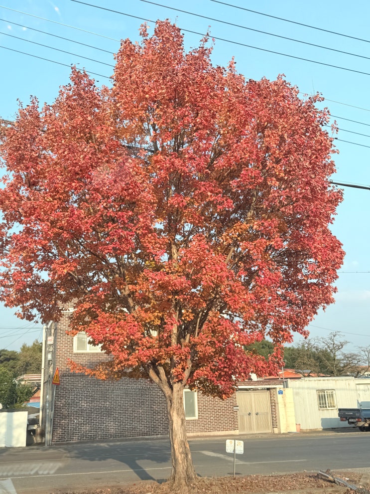 10월의 TMI 일기 : 네이버 블로그